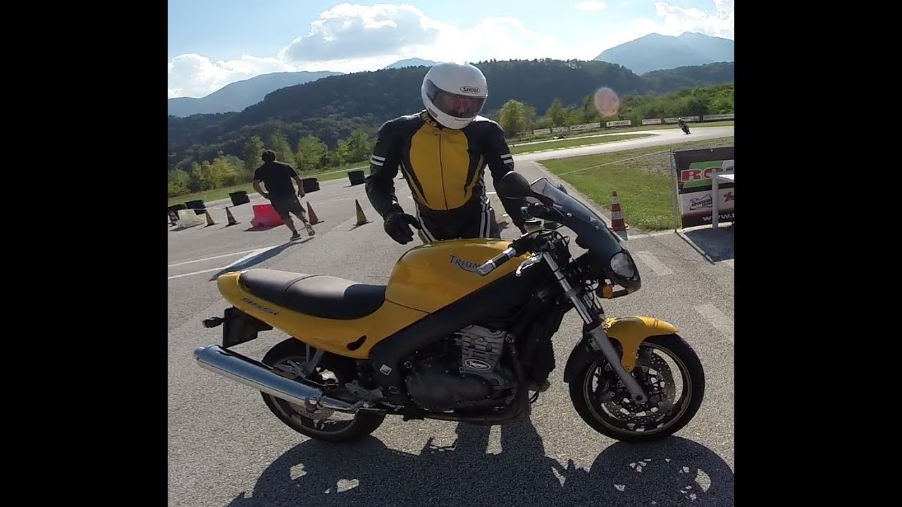 Our Hero Triumph sprint 955i - Bumblebee - saves the cat - YouTube