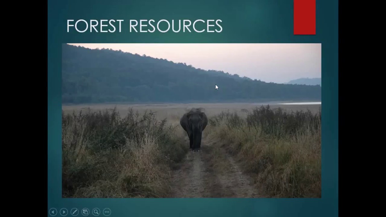 PPT on Forest Resources - YouTube