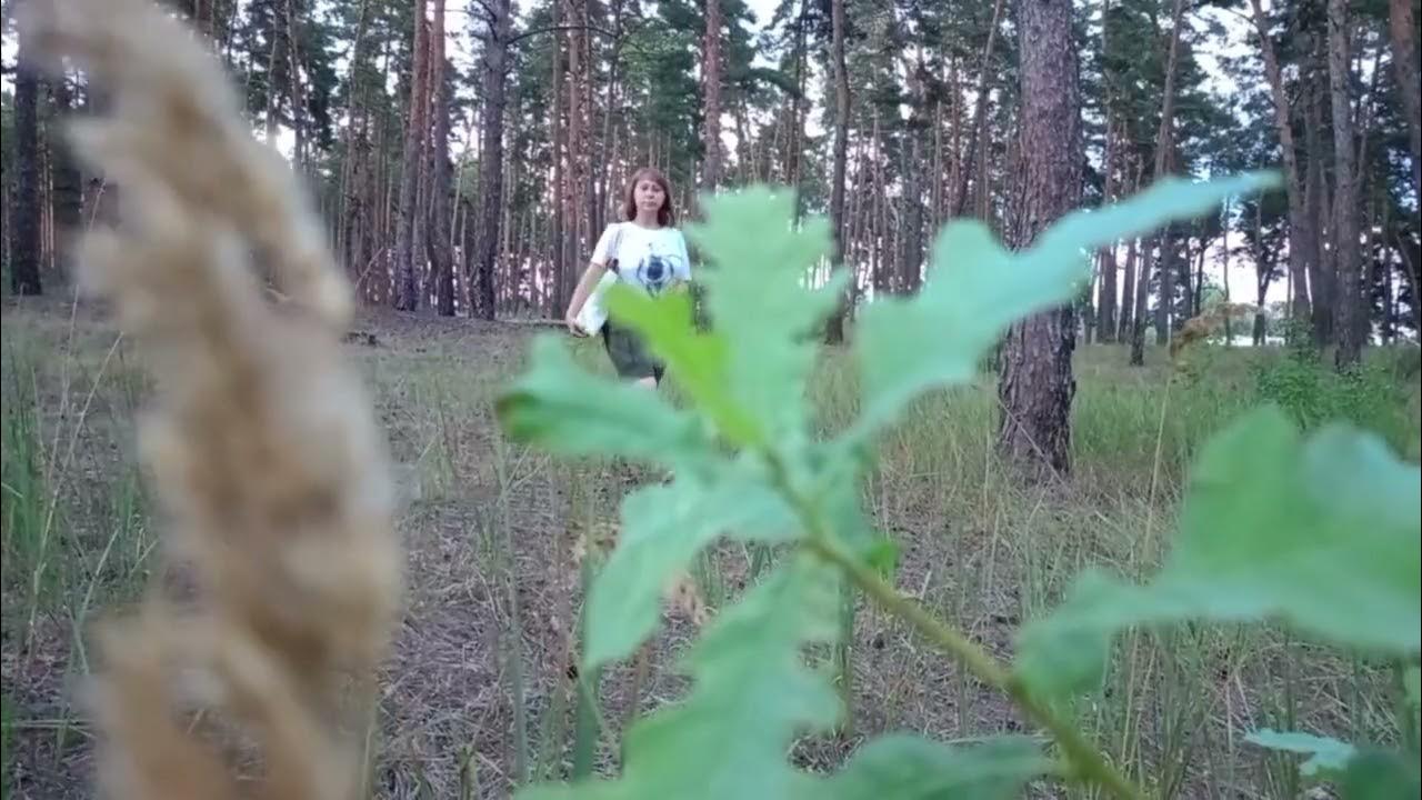 Лесные травы: рассказ от Юлианны Колдовко - YouTube
