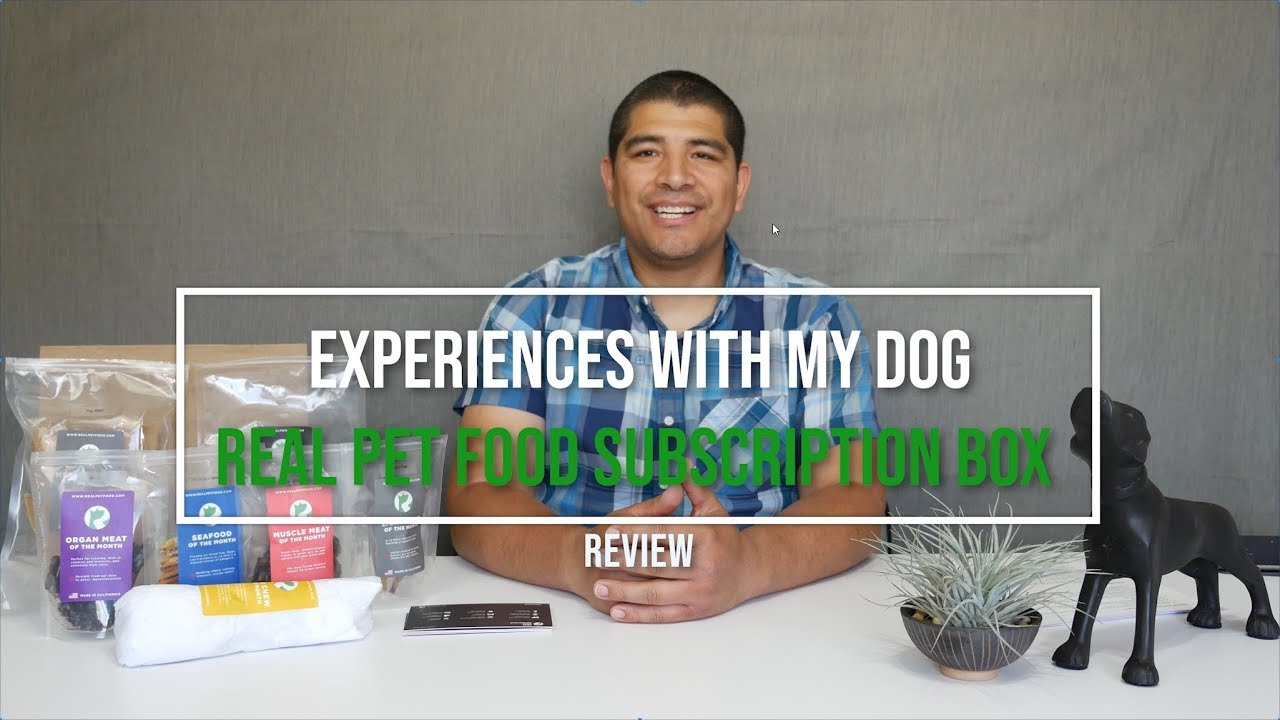 Real Dog Box - Review - Best Dog Treats & Chews? - YouTube