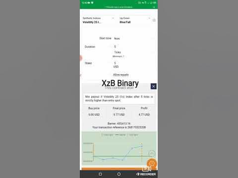 Binary Rise Fall Strategy | Algorithm - YouTube