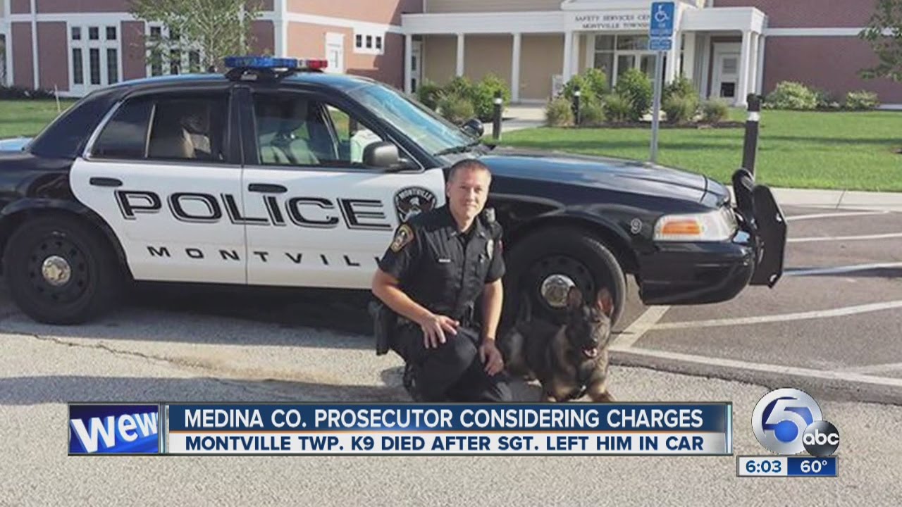 6pm Heat alert systems can save police dog's life in hot patrol car ...