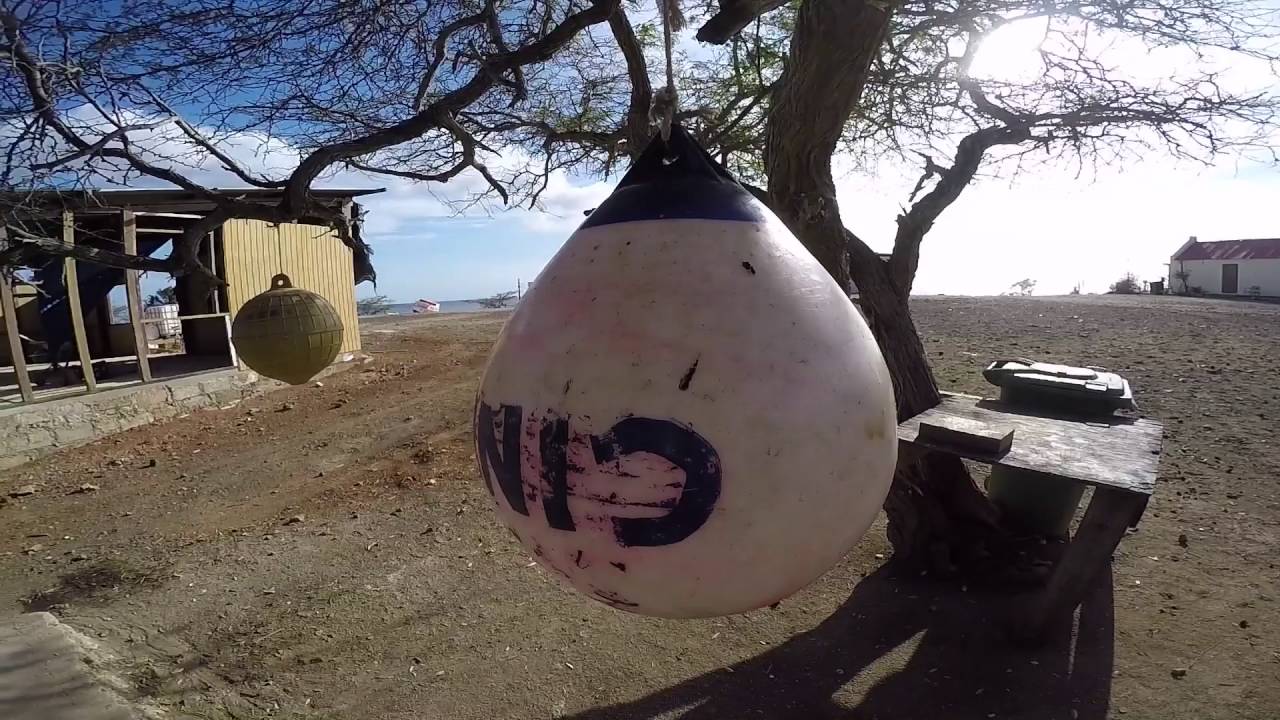 Just an exploration trip to Playa Frans, Bonaire - YouTube