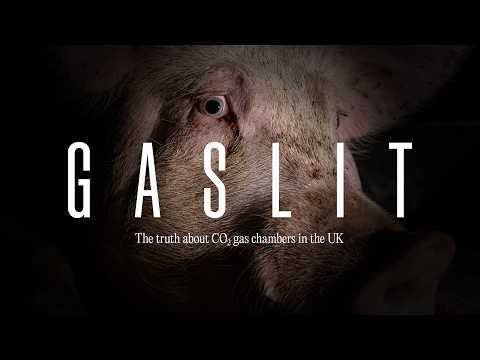 Gaslit: The Truth About CO2 Gas Chambers in the UK