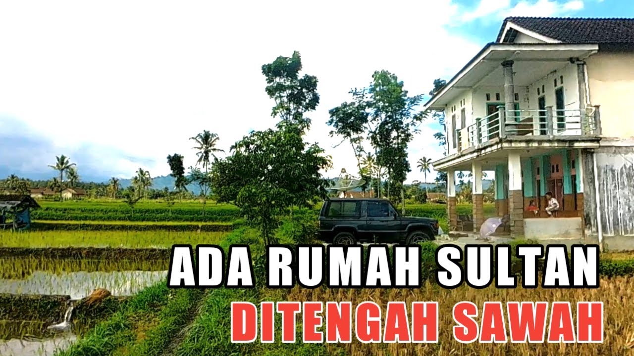 INILAH SUASANA PEDESAAN YANG INDAH DI KAKI GUNUNG GUMITIR JEMBER JAWA ...