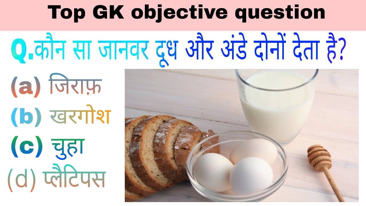 Hindi GK objective question and answer ll GK Hindi quiz ll best Indian ...