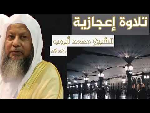 Şeyh Mohammed Eyüp