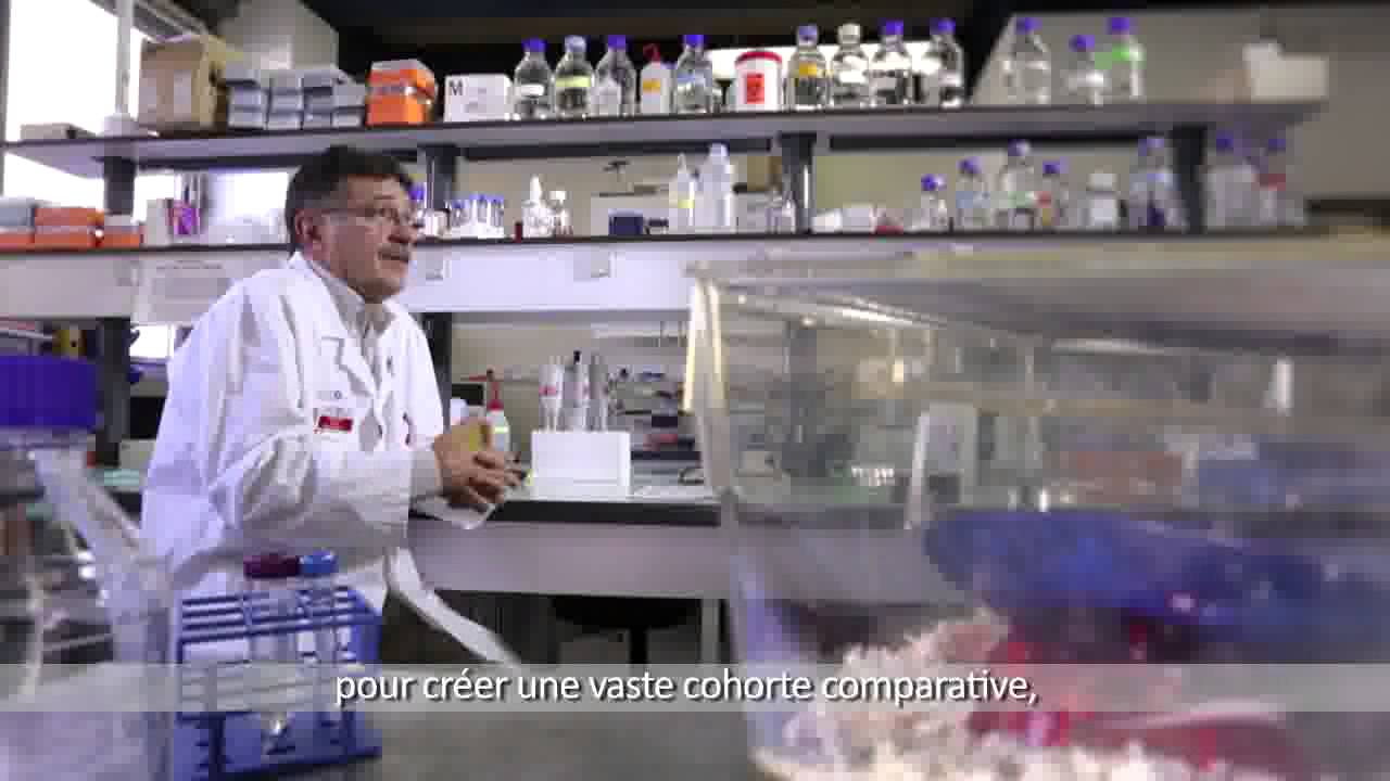 Inflamex : Institut des maladies inflammatoires (IMI) - Renato Monteiro ...