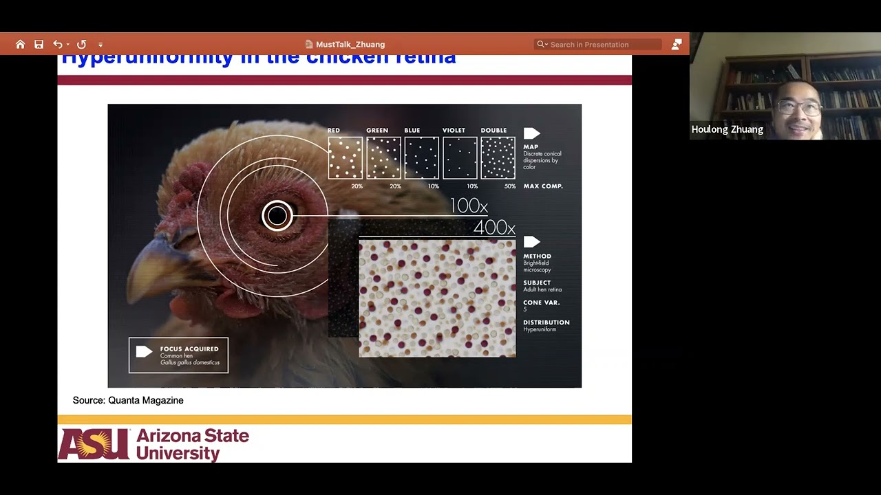 Disordered Hyperuniformity in Two-Dimensional Materials - YouTube