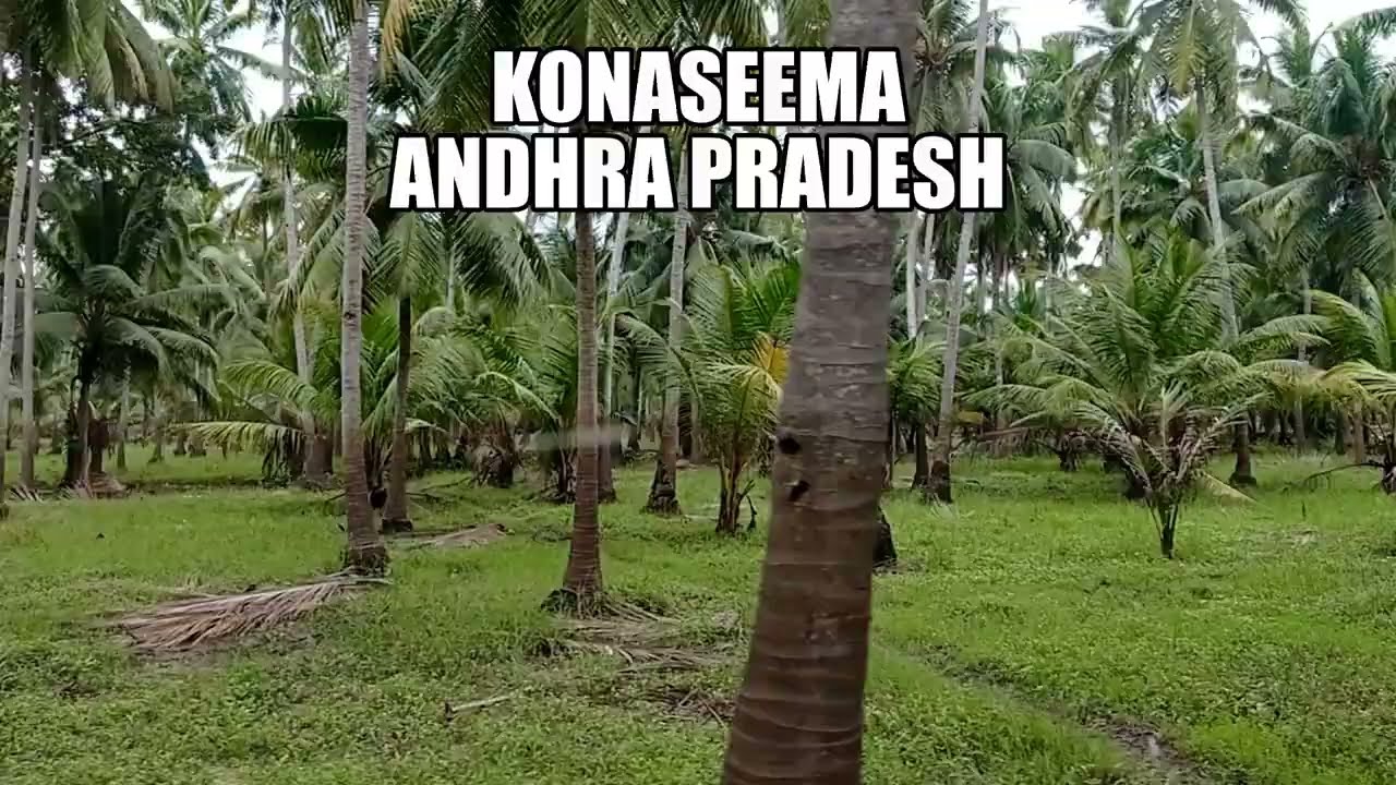 Beautiful Konaseema in East Godavari District of Andhra Pradesh - YouTube