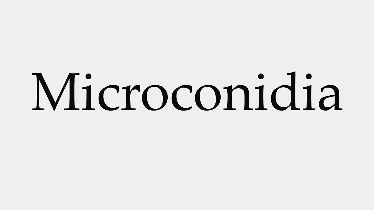How to Pronounce Microconidia - YouTube