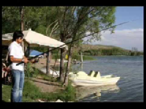 HAVVANUR - SARI GELİN