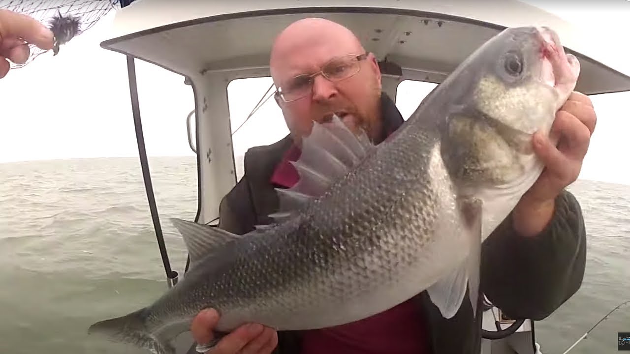Big Bass, Huge Chub, Barbel and a 900lb Shark | Totally Awesome Fishing ...