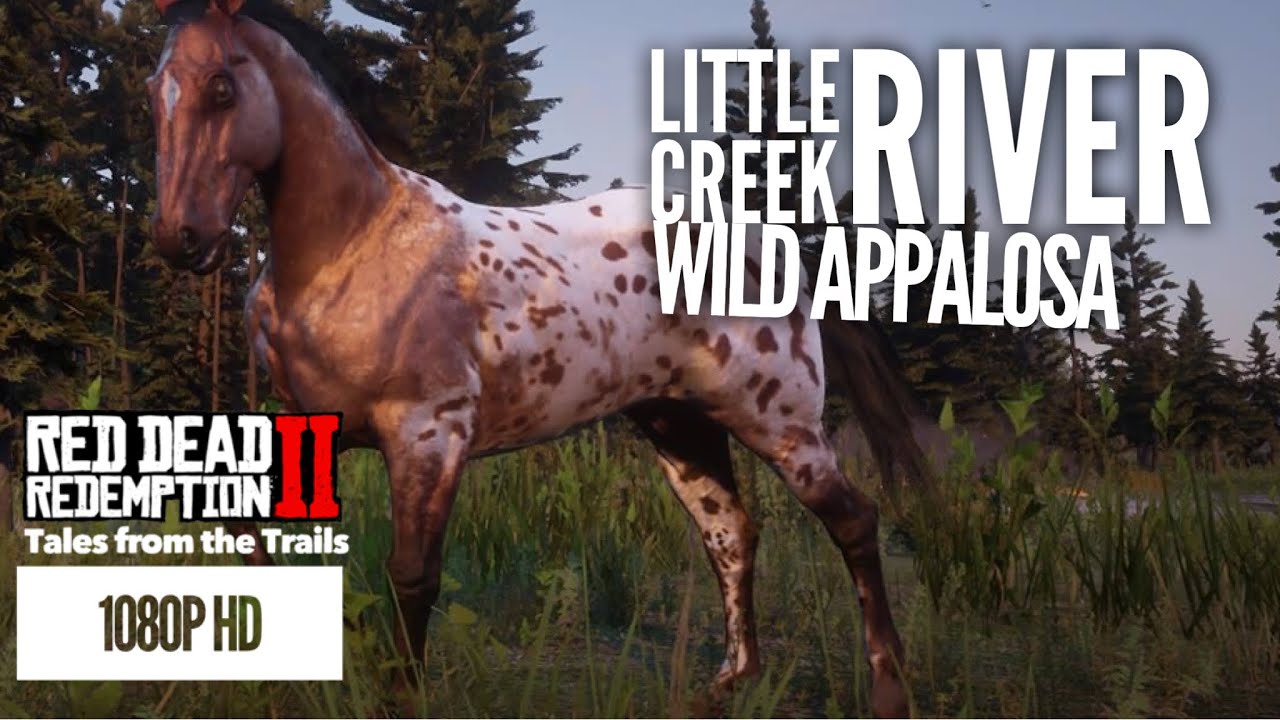 RDR2: Catch a wild spotted horse - 1080p HD - Red Dead Redemption 2 ...