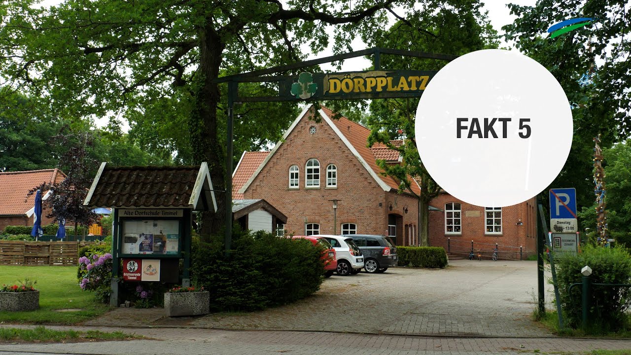 5 Fakten über Timmel - YouTube