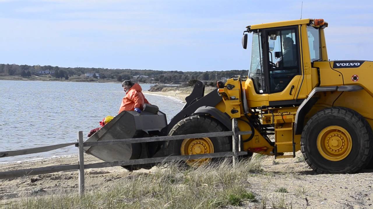 From Taunton River to Martha's Vineyard, Quahaug Relay Gives Mollusks ...