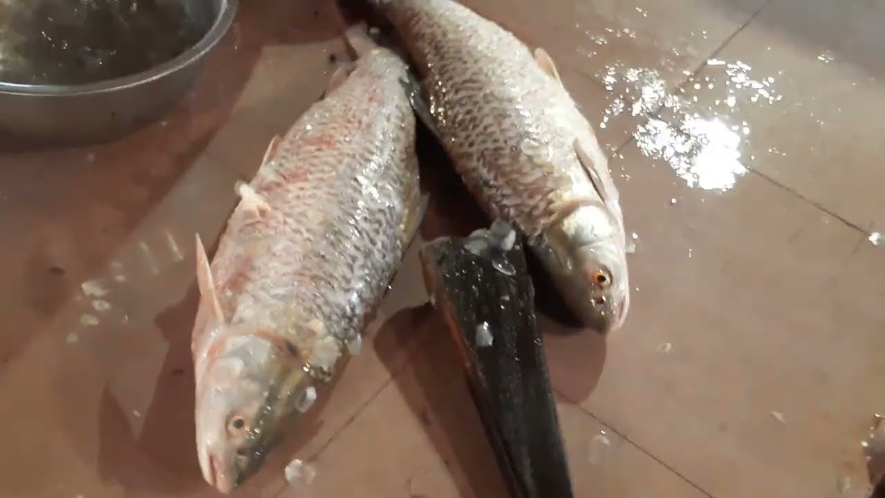 Amazing Mrigal Fish Scales And Excellent Cutting Skills || Big Mrigal ...