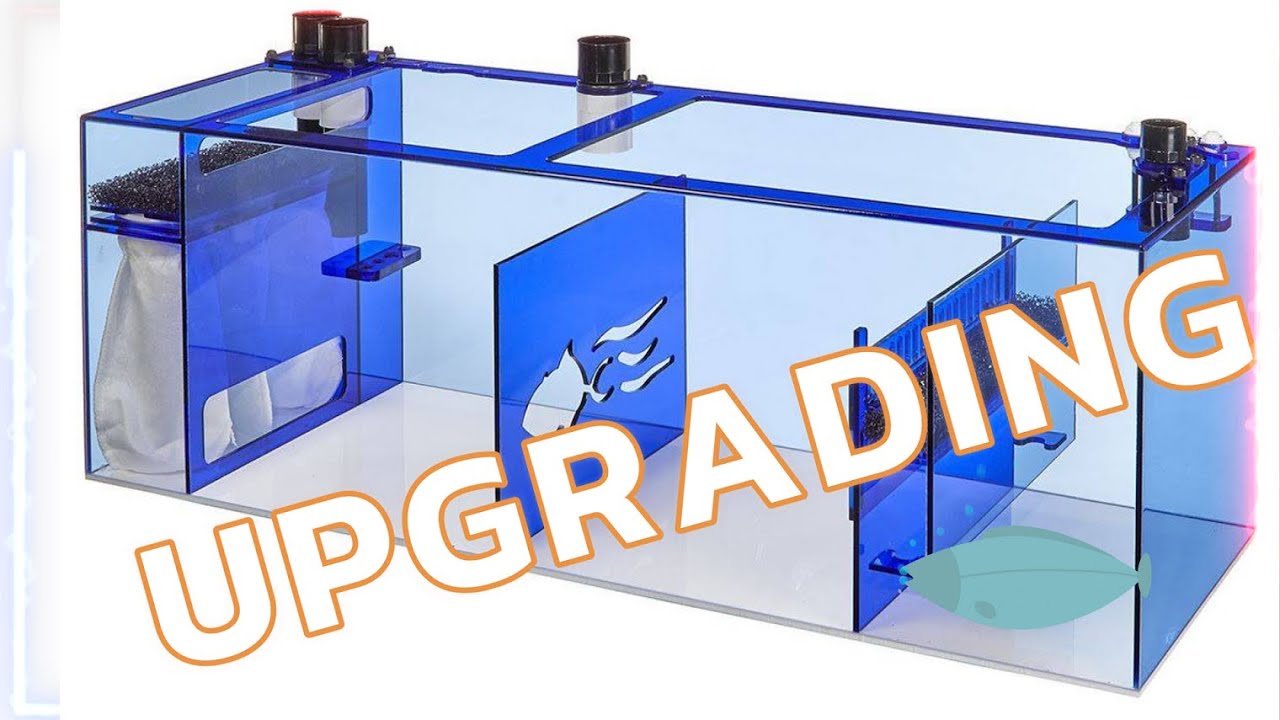 Upgrading Aquarium Sump | Trigger Systems - YouTube