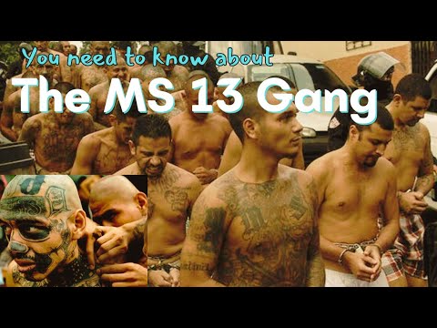 Everything you need to know about The MS 13 gang - YouTube