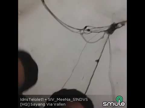 Smule hot parah nemen judule sayang by ruswan