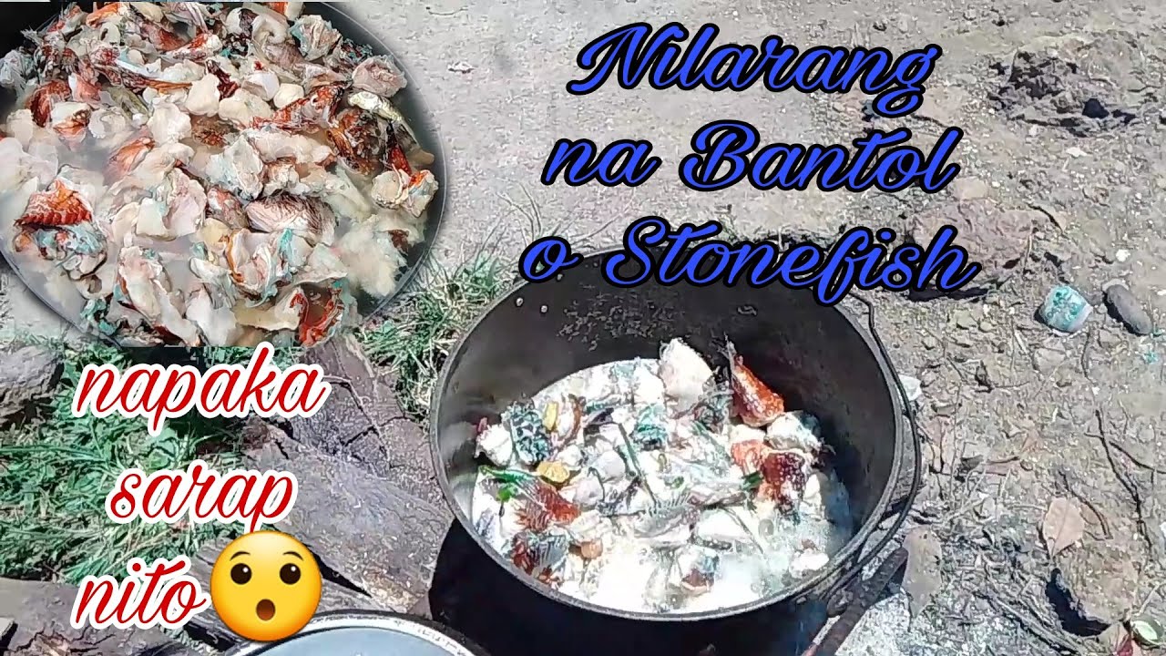 Nilarang na Bantol o Stonefish dito sa probinsya 😯 - YouTube