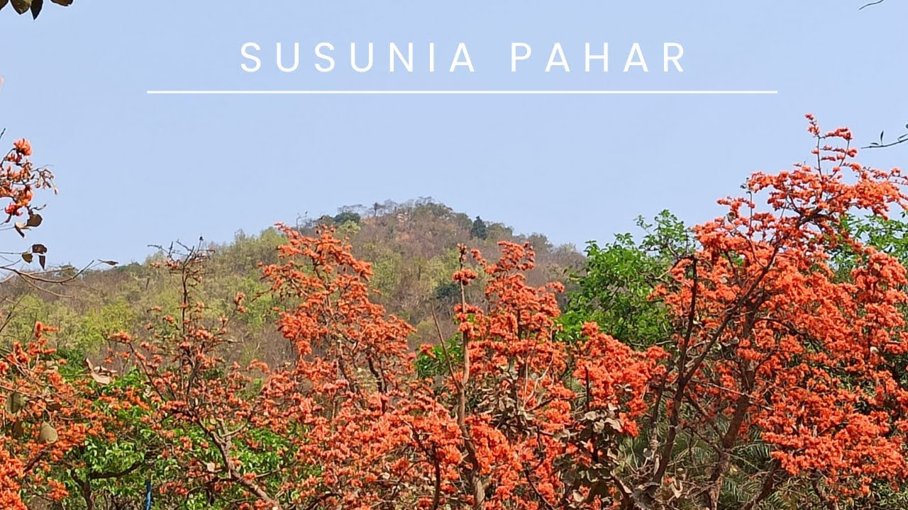 SUSUNIA HILL DAY TRIP | BANKURA SUSUNIA PAHAR TREKKING | SUSUNIA HILL ...