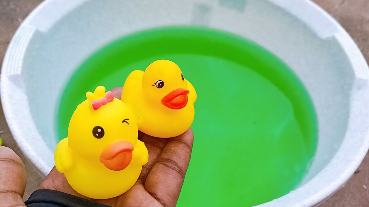 Double Animals - Rhinoceros 🦏 Cat 🐈 Crocodile 🐊 Frog 🐸 Penguin 🐧 Duck 🦆 ...