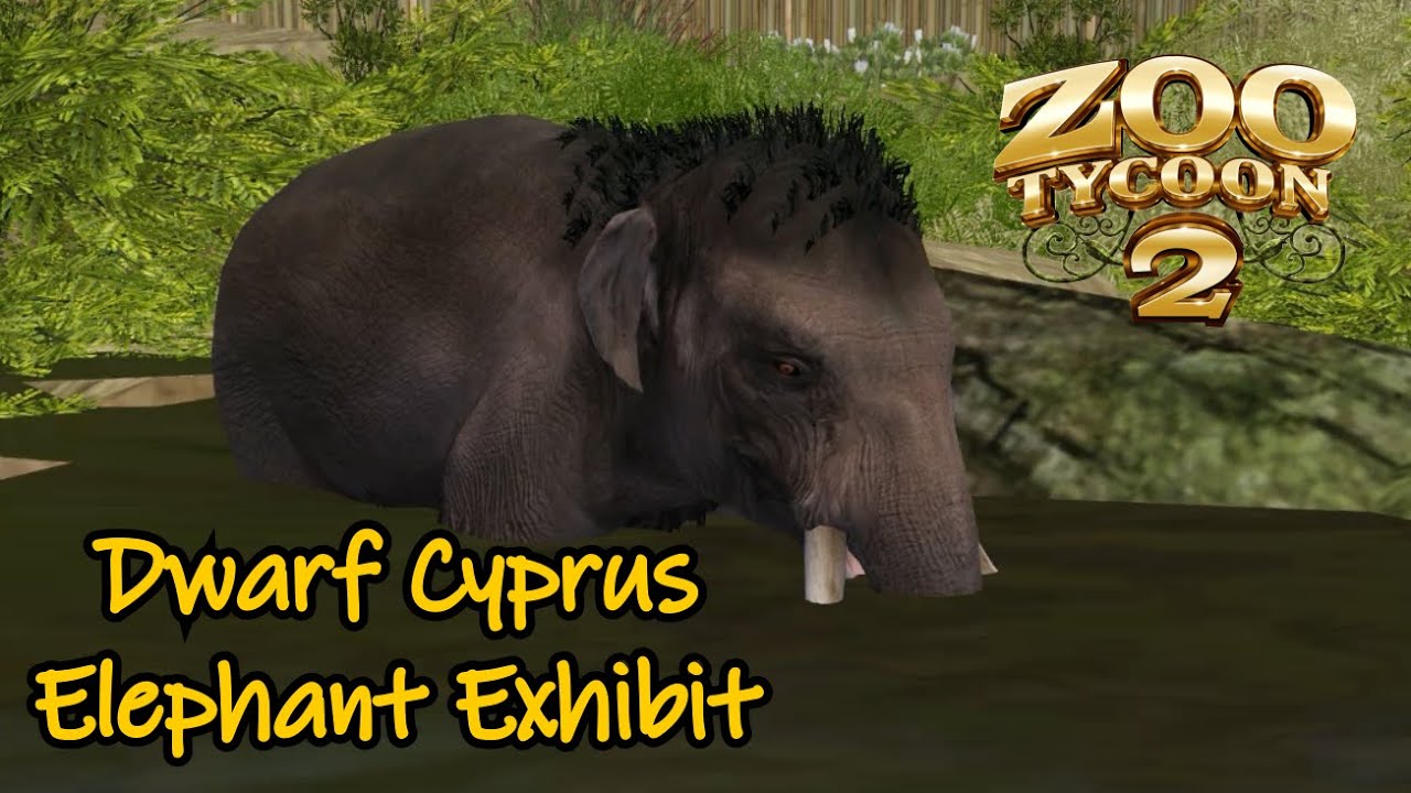 Zoo Tycoon 2: Dwarf Cyprus Elephant Exhibit Speed Build - YouTube