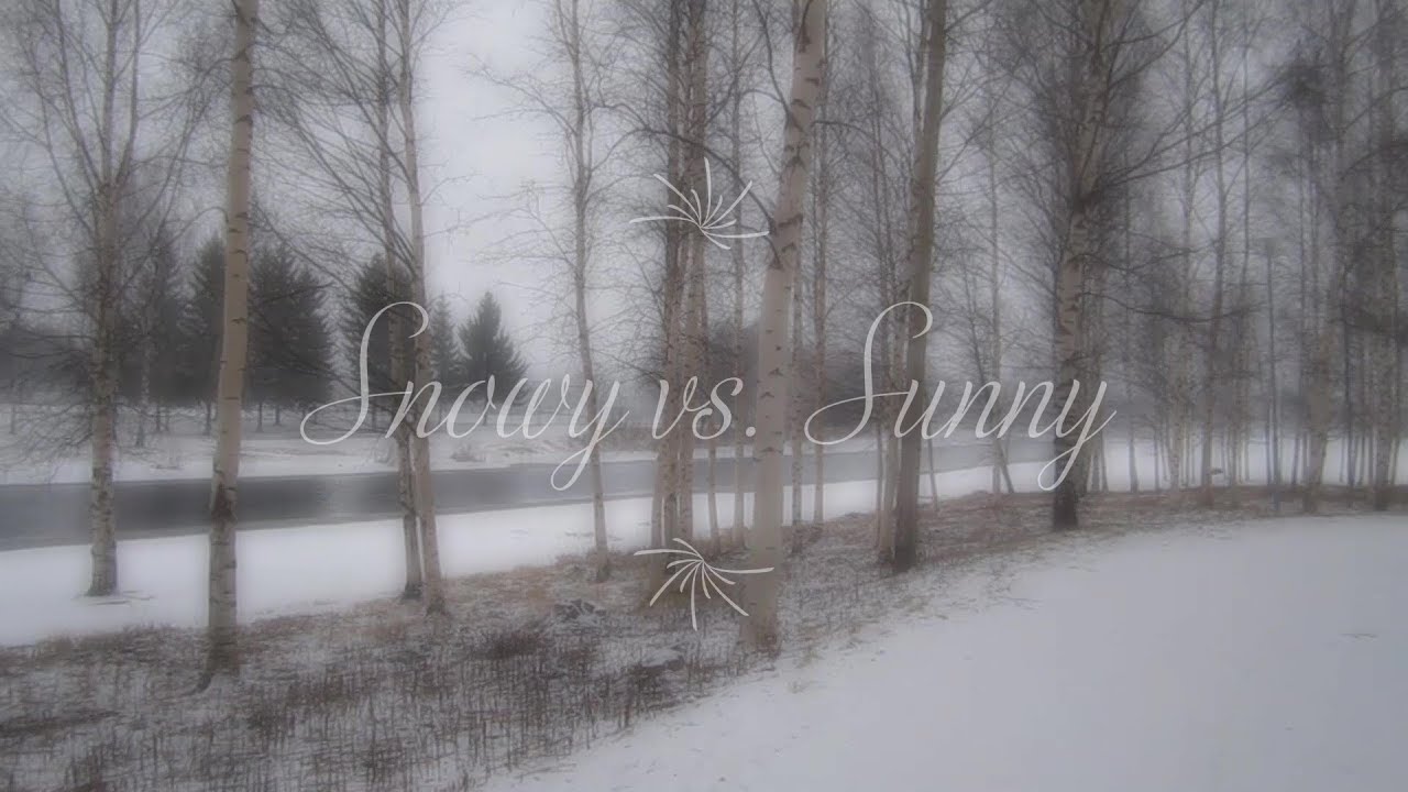 Snowy vs. Sunny - YouTube