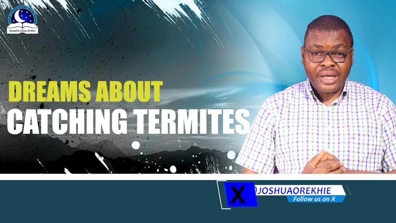 Dreams About Catching Termites II Biblical and Spiritual Meaning - YouTube