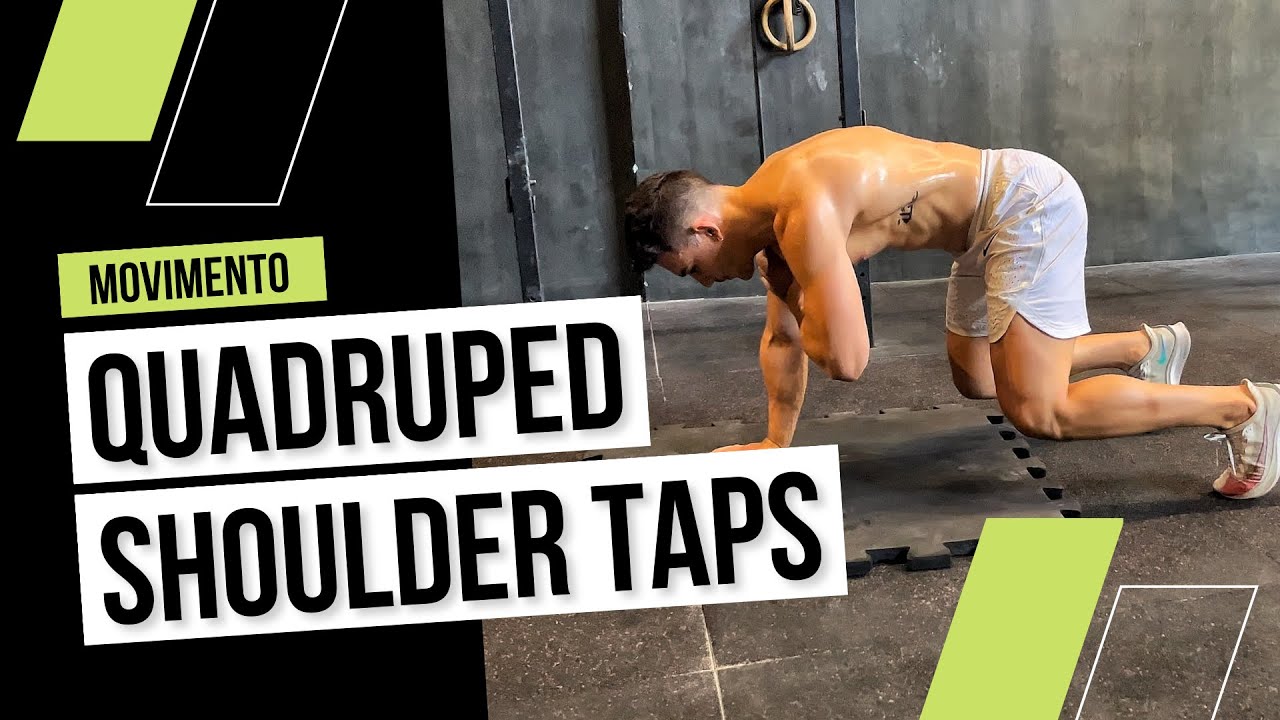 Quadruped Shoulder Taps - YouTube