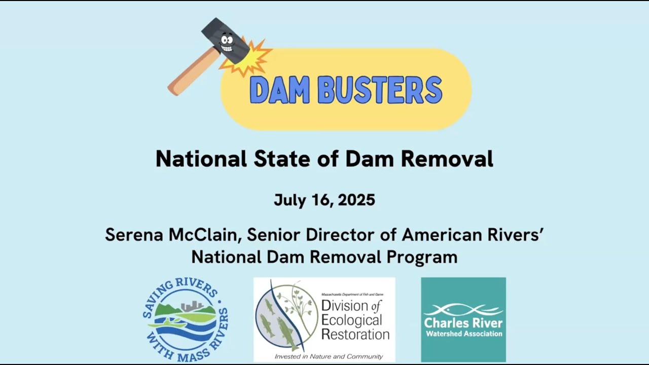 Dam Busters 201: National State of Dam Removal - YouTube