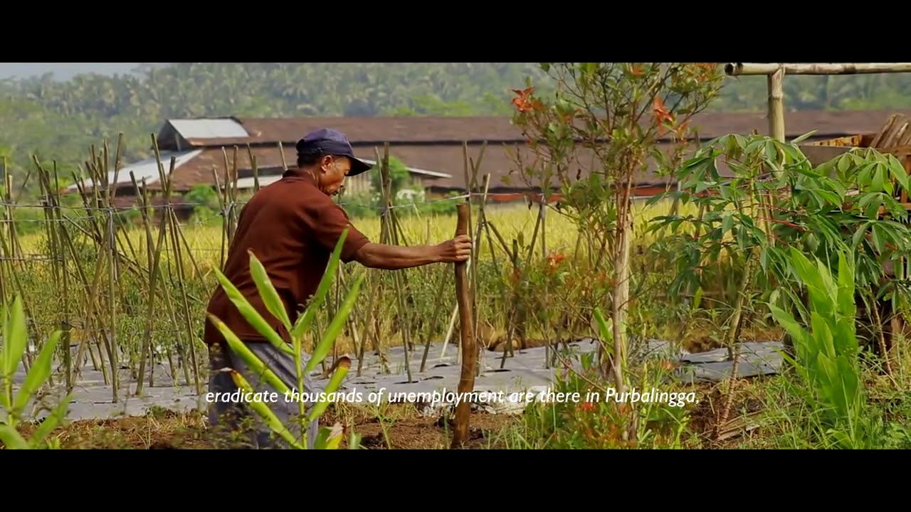 Kampung Marketer Profile - YouTube