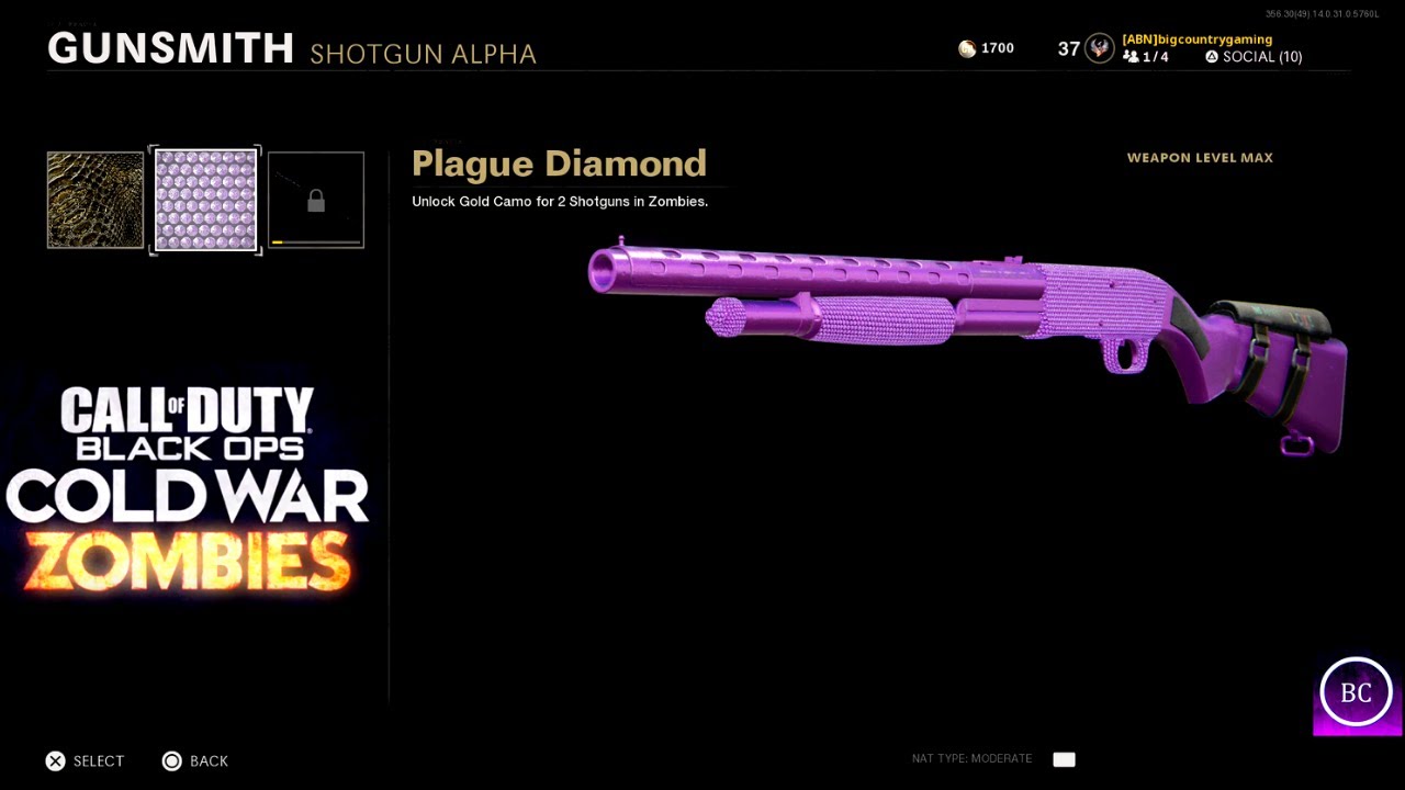 COD Cold War Zombies - Finally Got The Purple Diamond Shotguns - YouTube