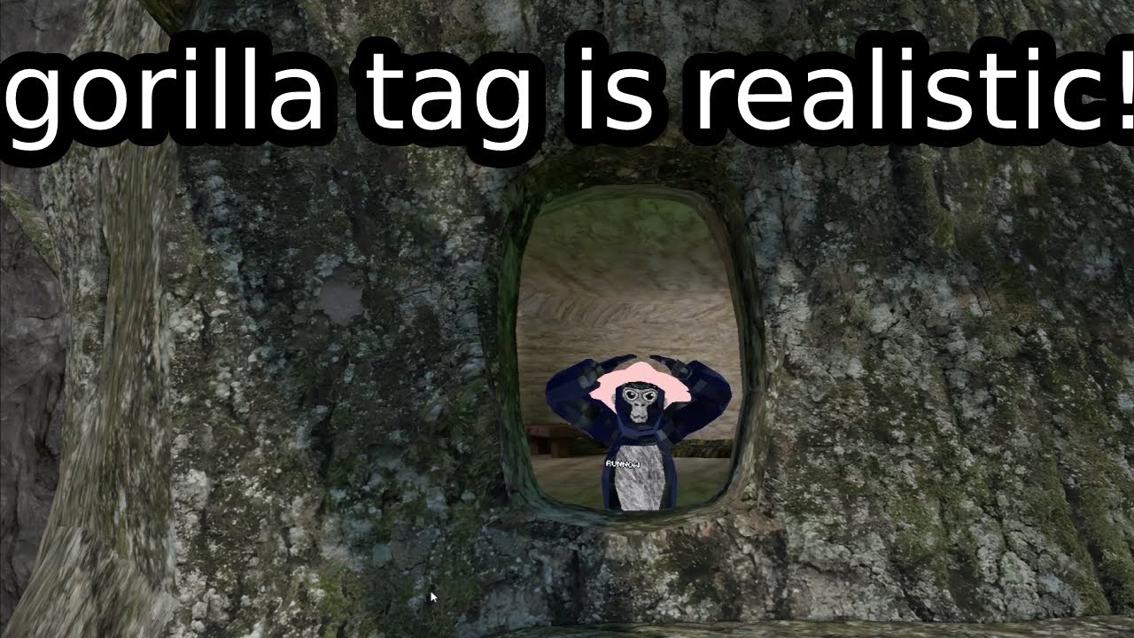 Realistic Gorilla Tag!!! - YouTube