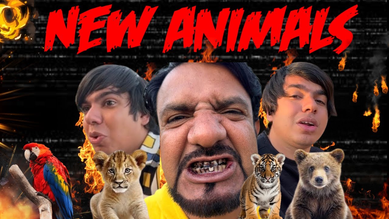 SW Pet House New Zoo And New Animals Coming Soon - YouTube
