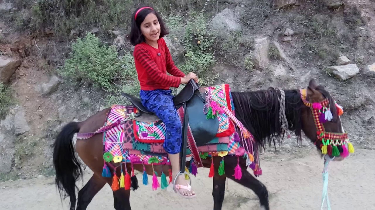Bakarwal peoples During Migration - YouTube