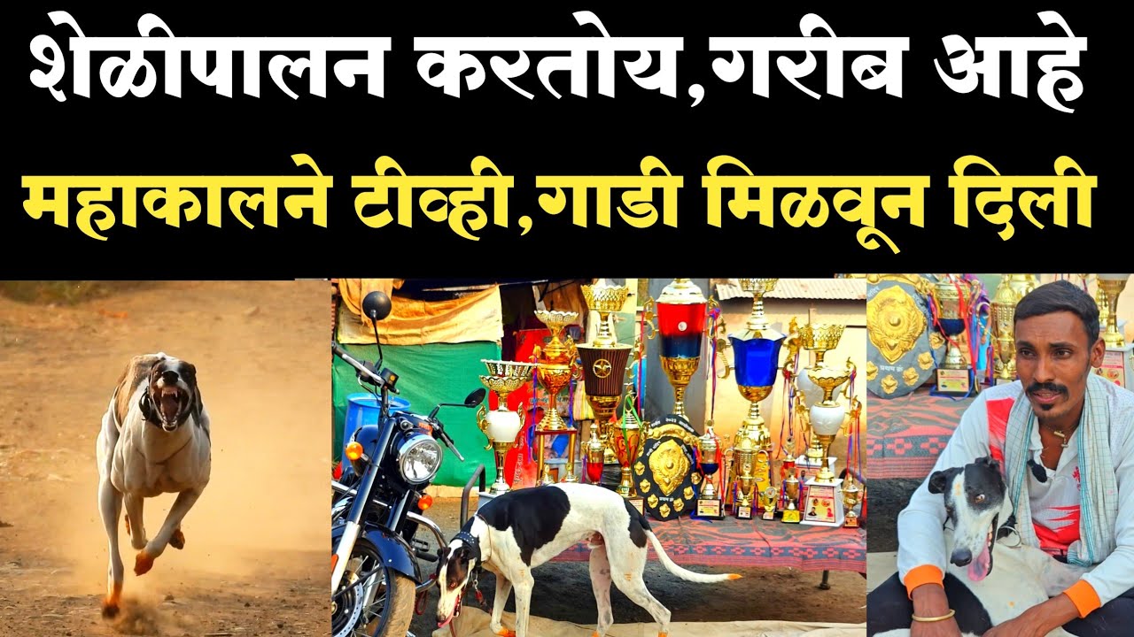 एका श्वाननं संपूर्ण आयुष्य बदललं ! mahakal dog sharyat 2024| - YouTube
