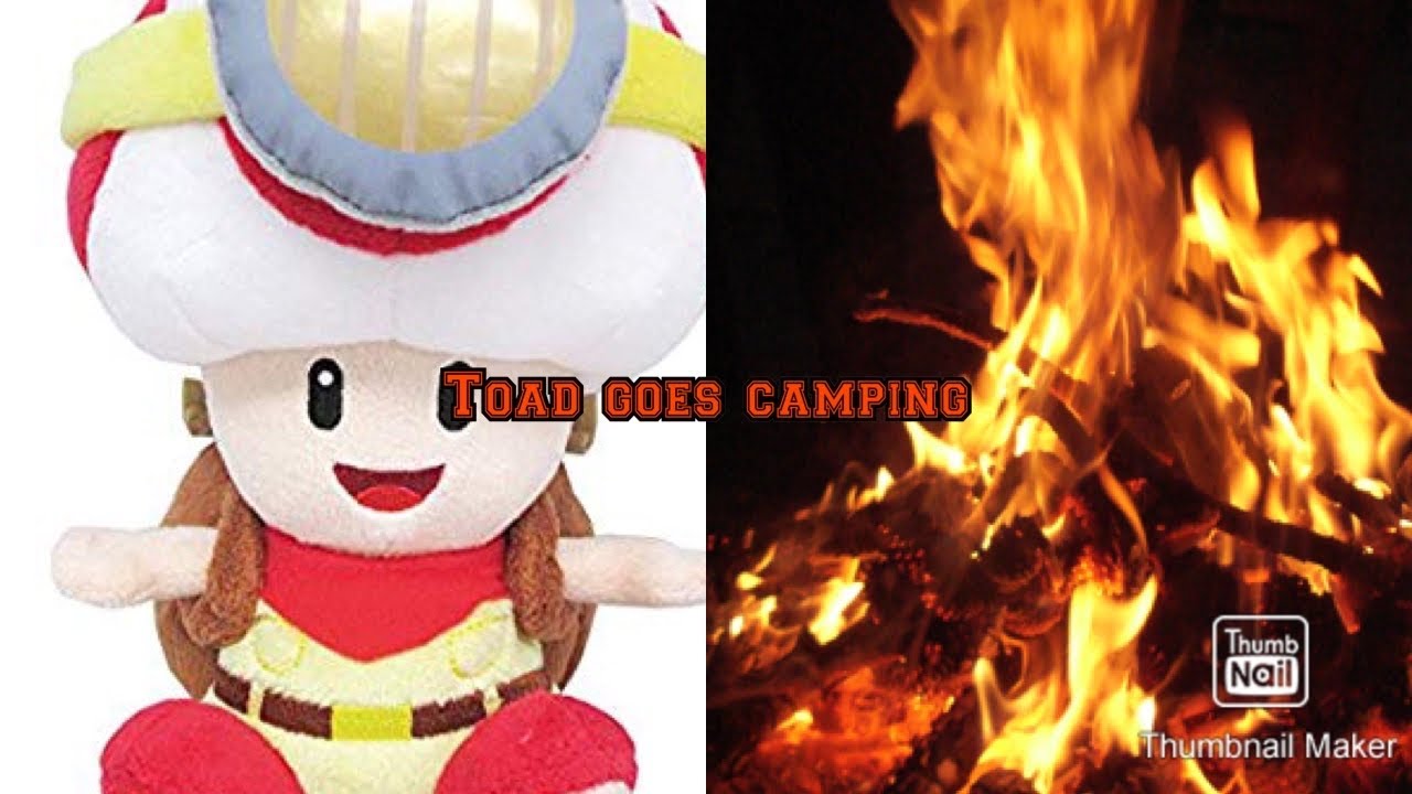 AFM Movie: Toads camping trip! - YouTube