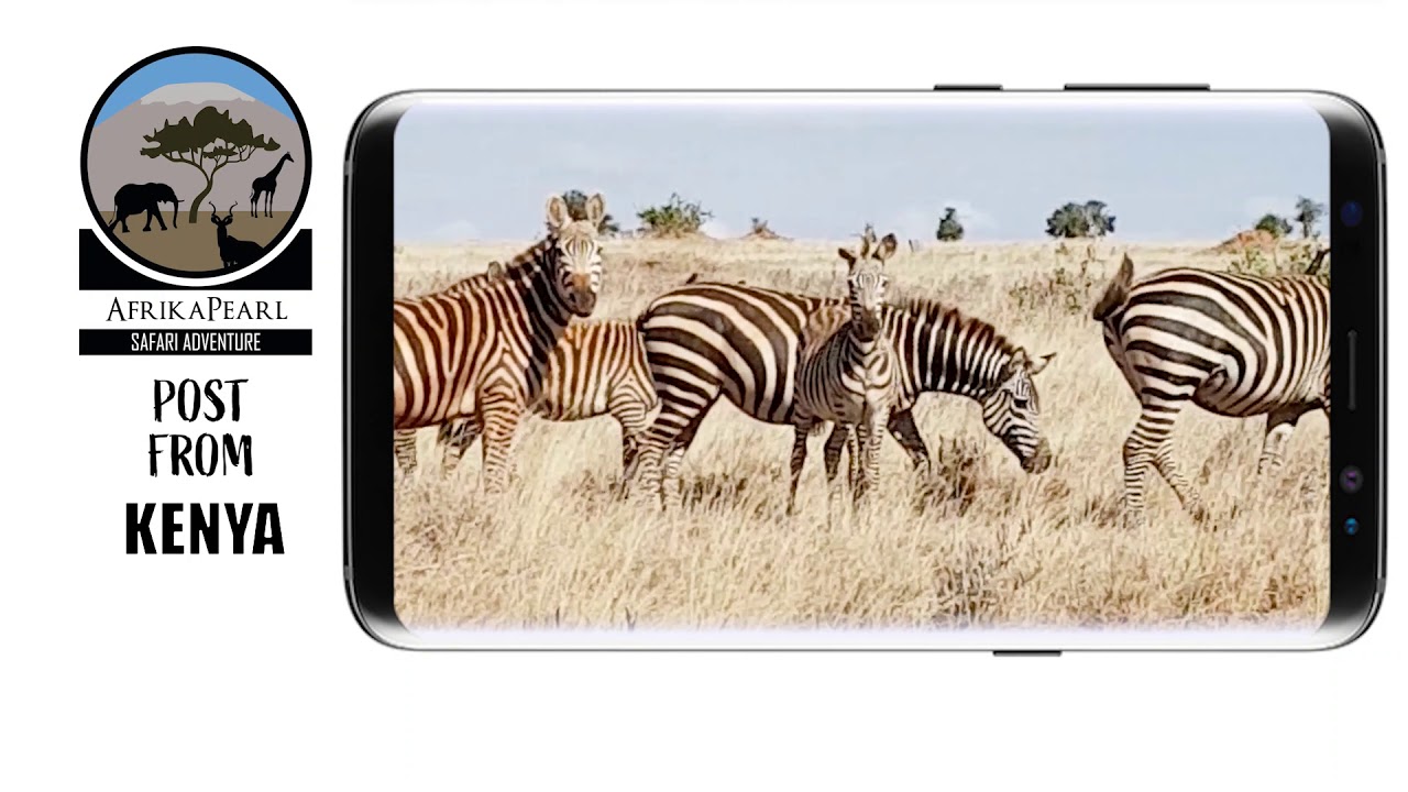 KENYA POST FROM 06 - YouTube