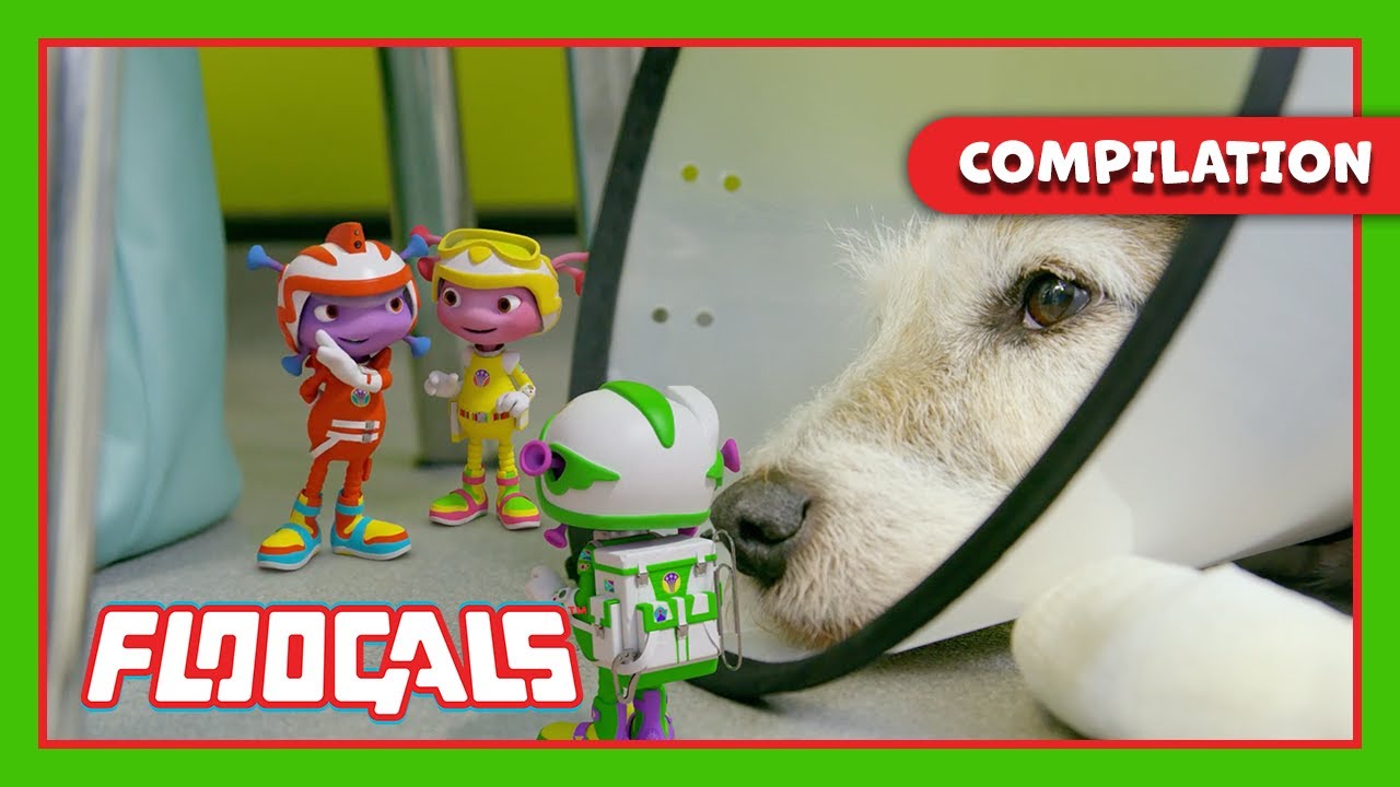 Explore Different Animals with the Floogals | Floogals | 20+ MINUTE ...