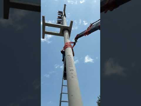 14/16 Trafo Direği Dikimi