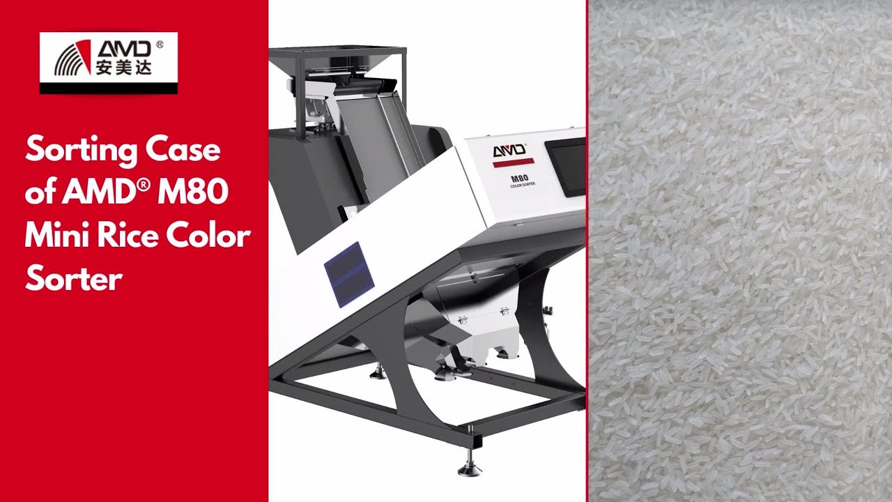 M80 Sorting Case of rice #two times sorting #discolor rice sorting ...