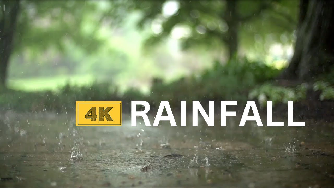 15 mins of blissful sound of Rain Falling - Ambient noise to help you ...