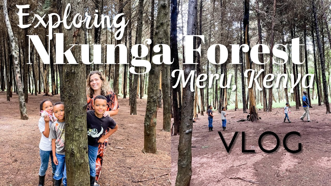 Nkunga Forest Adventure | Meru, Kenya | Our Life in Kenya | Safari Van ...