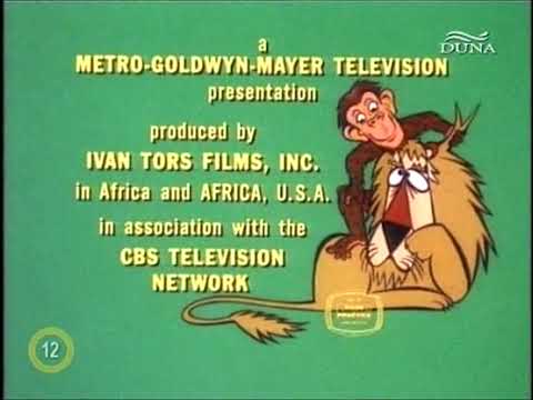 MGM Television/Ivan Tors Films/CBS Television Network (1966/1979) - YouTube