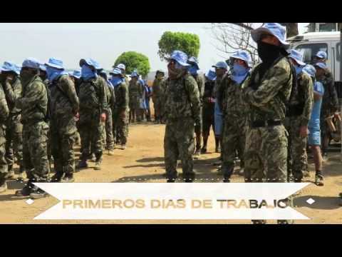 CIA ING PERU A SU LLEGADA A RCA - YouTube