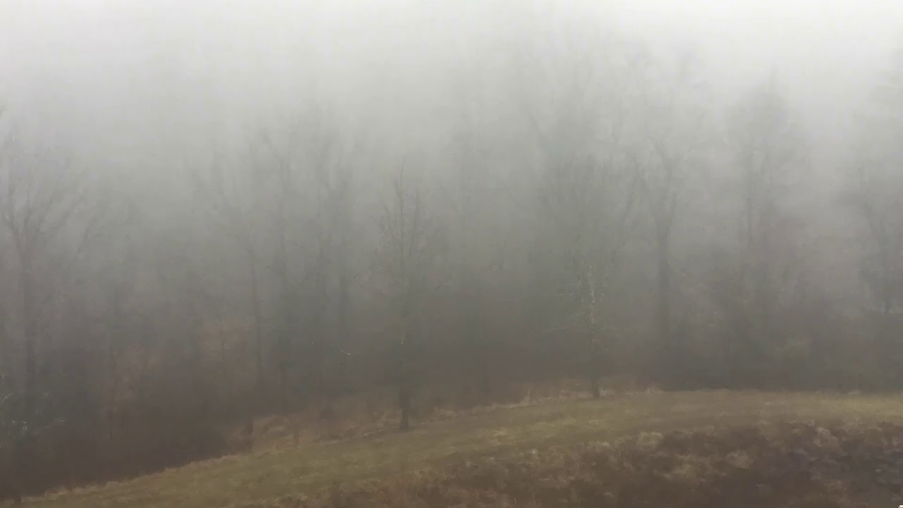 Time lapse of the fog lifting today. - YouTube