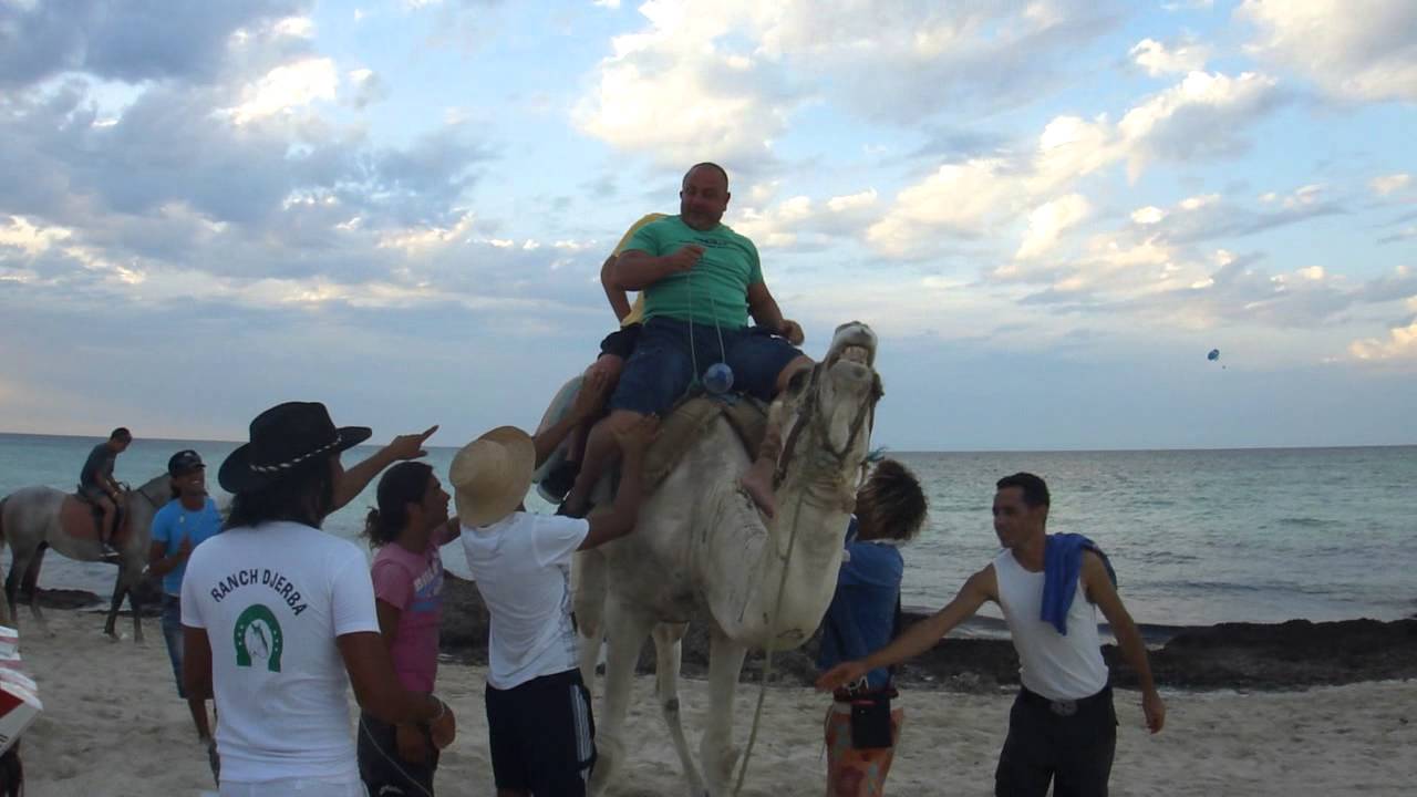 K1 MOS VS KAMEL KO 1er round - YouTube