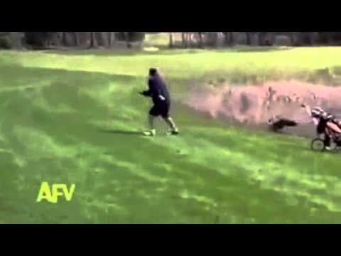 Goose Attacking a man funny video Lol - YouTube